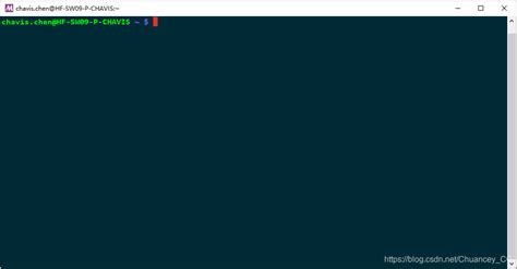 Windows安装真正的zsh——不是在wsl子系统下哦~windows Zsh Csdn博客