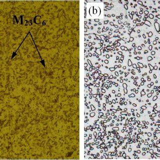 Microstructure Consisting Of Randomly Dispersed Particles Of M23C6 Download Scientific Diagram