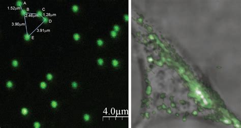 Upconverting Nanoparticles Fundamental Properties And Applications Schuck Lab