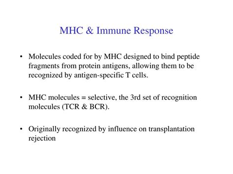 Ppt The Role Of The Major Histocompatibility Complex In The Immune Response Powerpoint