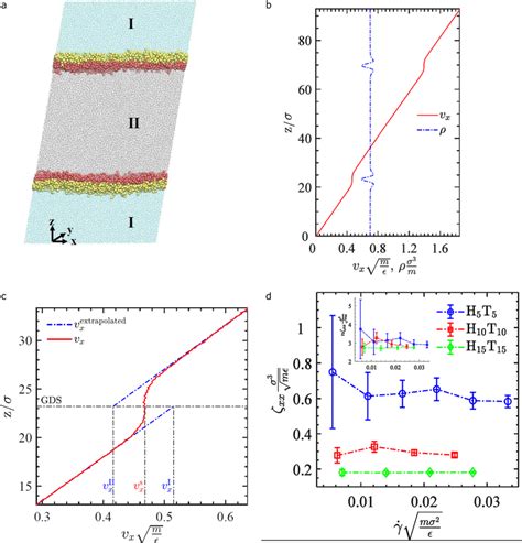 nonequilibrium molecular dynamics simulations of the structure and