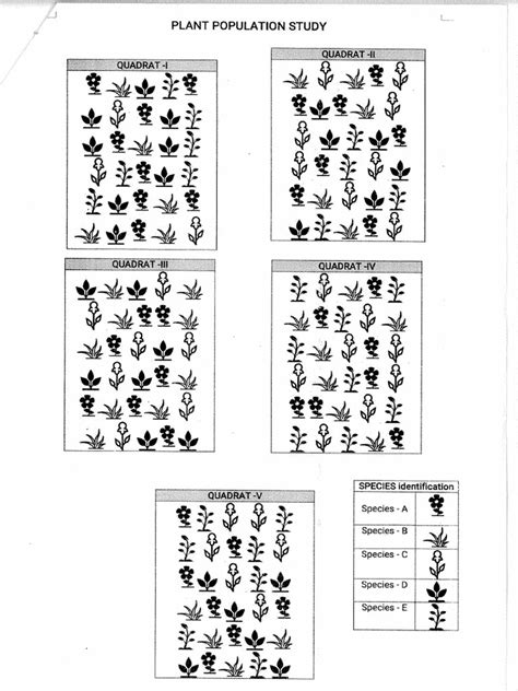Plant Density Sample Pdf Pdf