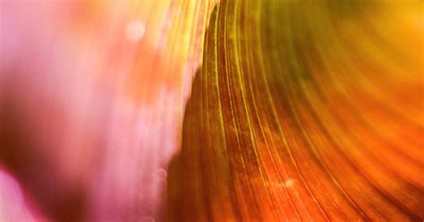 Mim Synchronization Engine What Comes Next Oxford Computer Group Us