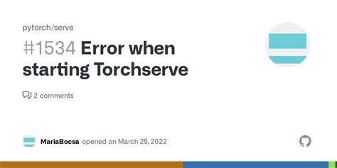 Error When Starting Torchserve Issue Pytorch Serve GitHub