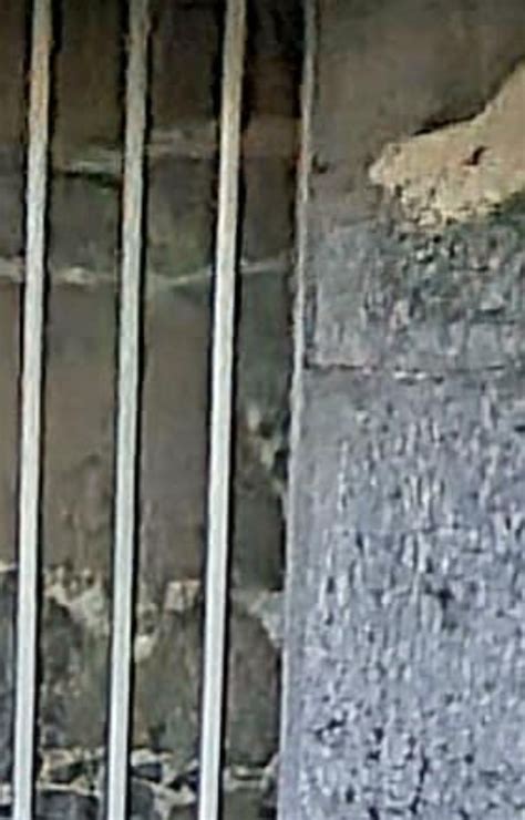 This Legendary Shapeshifting Púca Was Caught On Camera At An Irish Castle And You Cant Tell