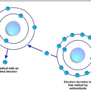 Cellular Redox Homeostasis By Ros Scavenging Action Of Antioxidants Download Scientific Diagram