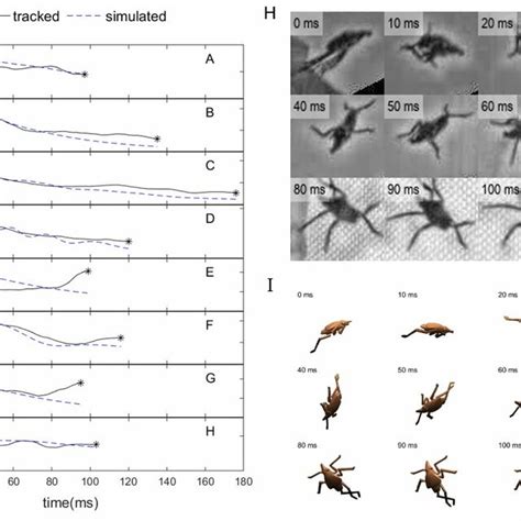 A G Angular Velocity Of Body Orientation Cranial Caudal Axis