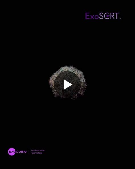 Exosomes Exocobio Europe Exosomestherapy Aesthetics Skin Hair