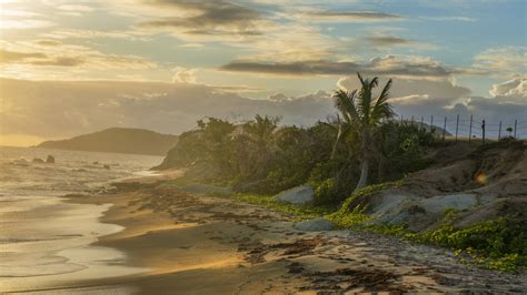 Culebra Vs Vieques Which Puerto Rican Island Is Best To Visit