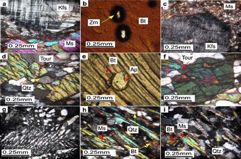 Photomicrographs Showing Mineralogical And Textural Features In