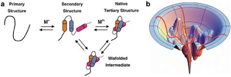 1 Rna Folding Problem A Schematic Diagram Of The Rna Folding