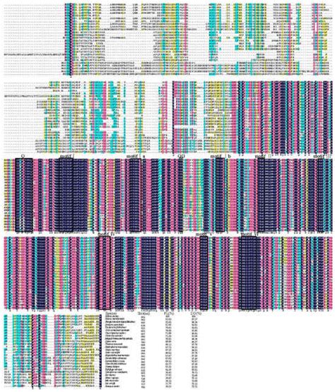 Genes An Open Access Journal From Mdpi
