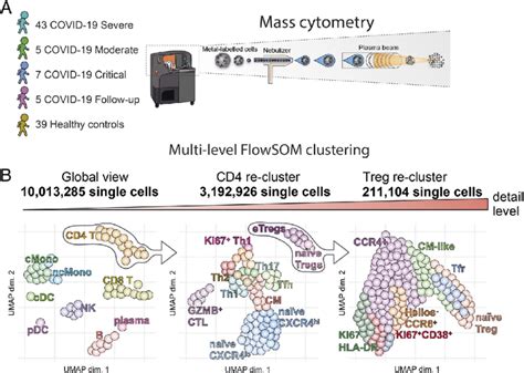 Schematic Diagrams Of Study A Patient Cohort And Mass Cytometry
