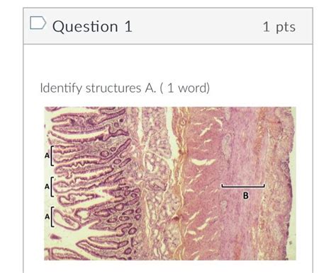 Solved Question Identify Structures A Word Chegg Com