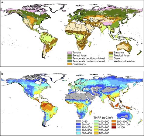 Figure 3 From Global Potential Net Primary Production Predicted From Vegetation Class