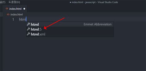VS Code 자바스크립트 개발 환경 구축 처음 사용자 기준 SAP Space