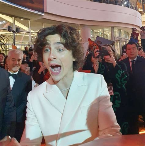 Regulus Acturus Black 170 Ideias De Thimotee Chalamet Para Salvar Hoje Regulo Black Atores E