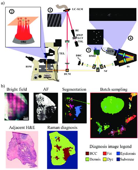Multi Foci Raman Spectroscopy To Reduce Multimodal Spectral Download Scientific Diagram