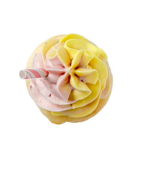 Raspberry Lemon Kelsey Elizabeth Cakes