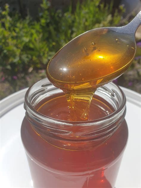 Blue Honey - Limited Edition - BeeBlood