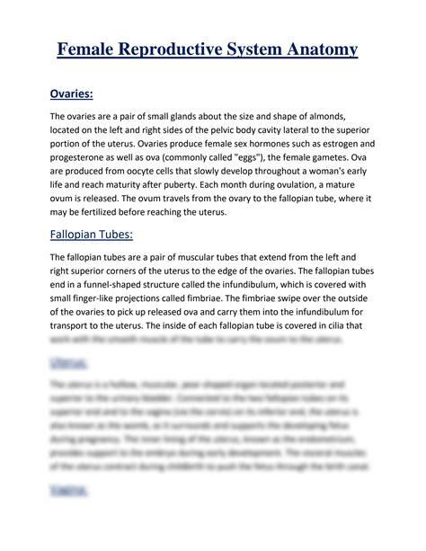 Solution Female Reproductive System Anatomy Studypool