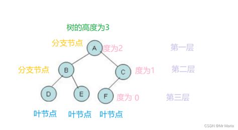 【数据结构 二叉树】 附超详细图解2叉树的数据结构 Csdn博客