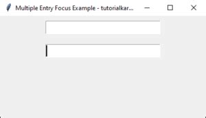 How To Focus Entry Widget In Tkinter Python