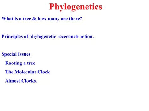 PPT Phylogenetics PowerPoint Presentation Free Download ID
