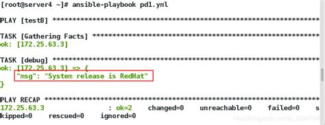 ansible（二十三） ansible 中的条件判断 ansible if csdn博客