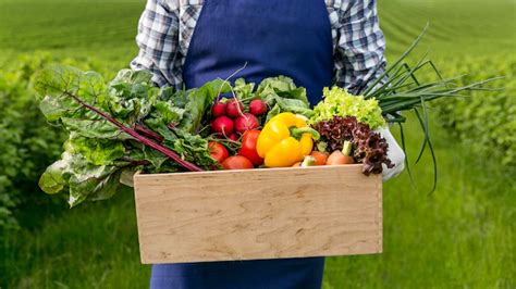Is Agriculture Moving Toward Robotics Ramistech