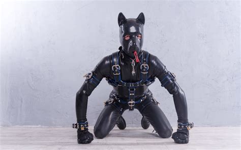 Gimp Suit Fashion Statement Or Fetish Symbol