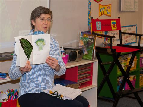 Home Page Sarah C Campbell