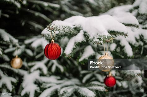 크리스마스와 섣달 그믐 날 배경 전나무와 하이라이트에 크리스마스 빨간 공이 있는 아름다운 광각 휴일 템플릿 파노라마 클래식 헤더