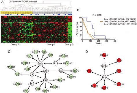 hierarchical clustering analysis of the second batch of tcga dataset
