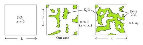Color Online A Cartoon Of The Fractal Presumably Percolating