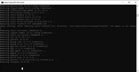 installing dietpi on openvz vps troubleshooting dietpi community forum