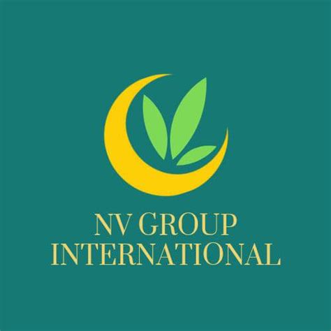 Pt Nv Group International
