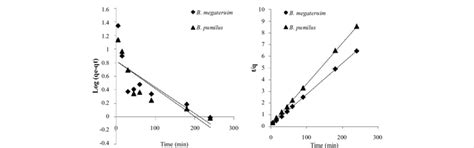 Lagergren First Order A And Second Order B Kinetics Modeling Of Download Scientific Diagram