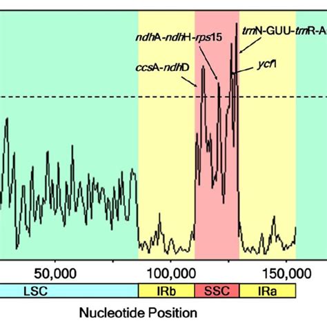 Nucleotide Variability Values Were Compared Between The Six Barleria