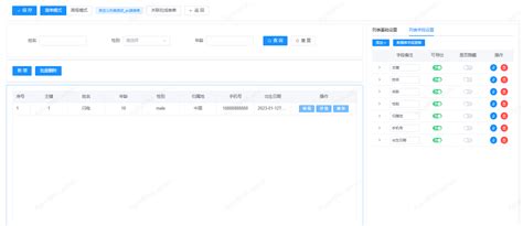 自定义列表 应用 数据报表 Agilebpm