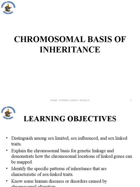 Chapter 7 Chromosomal Basis Of Inheritance 3 Pdf Heredity