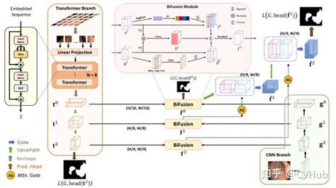 语义分割大盘点 知乎