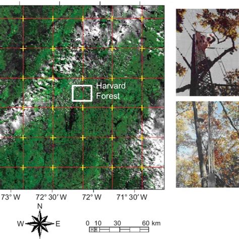 Pdf Modelling Light Use Efficiency Using Vegetation Index And Land Surface Temperature From