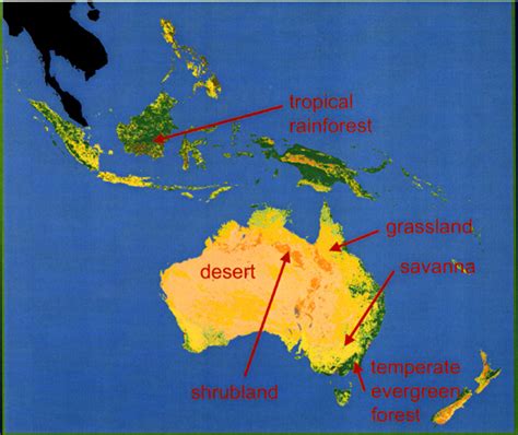 Biome Types