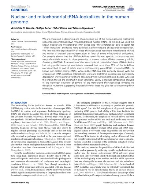 Pdf Nuclear And Mitochondrial Trna Lookalikes In The Human Genome