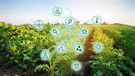 Predictive Analytics In Agriculture Fields Of Insight