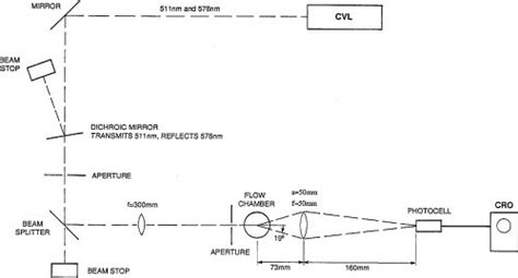 Schematic Of The Optical Layout Of The Laser Flow Cytometer Cro Download Scientific Diagram