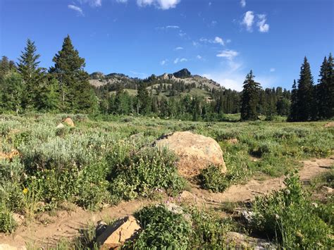 Hike 16 Tony Grove Recreation Area Logan Canyon Utah﻿ Carhart
