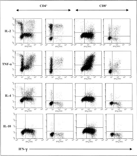 Representative Two Parameter Dot Plots Of Cytokine Expressing Cd4 And Download Scientific