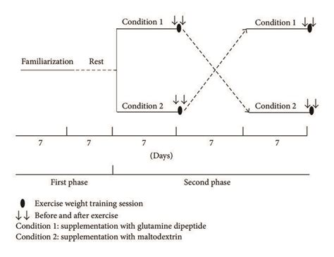 Scheme Of The Experimental Design Download Scientific Diagram